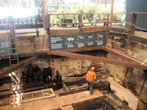 8 Fun Things You Can Do at the La Brea Tar Pits